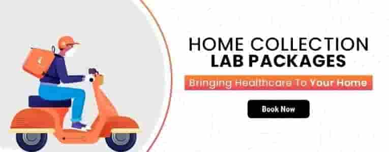 Best Preventive Health Checkup Packages | Medical Check-up