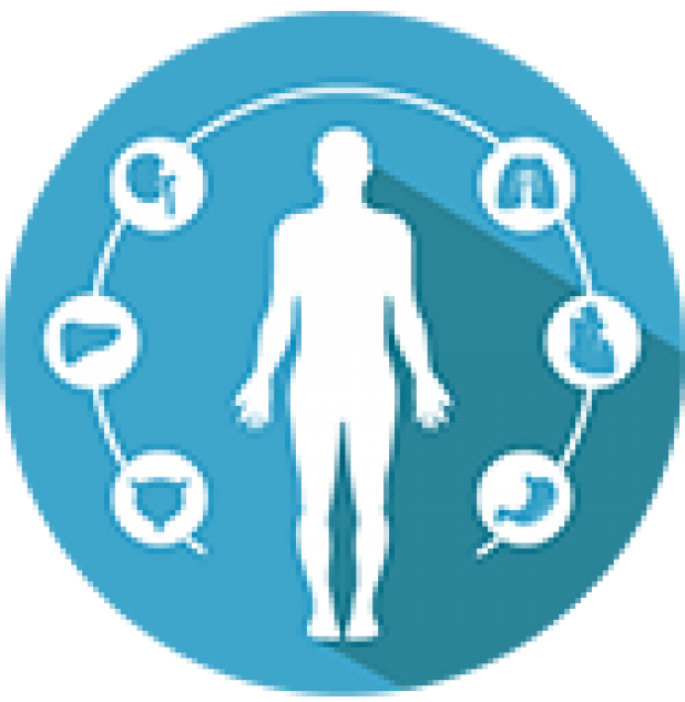 Whole Body Checkup Package | Full Body Checkup